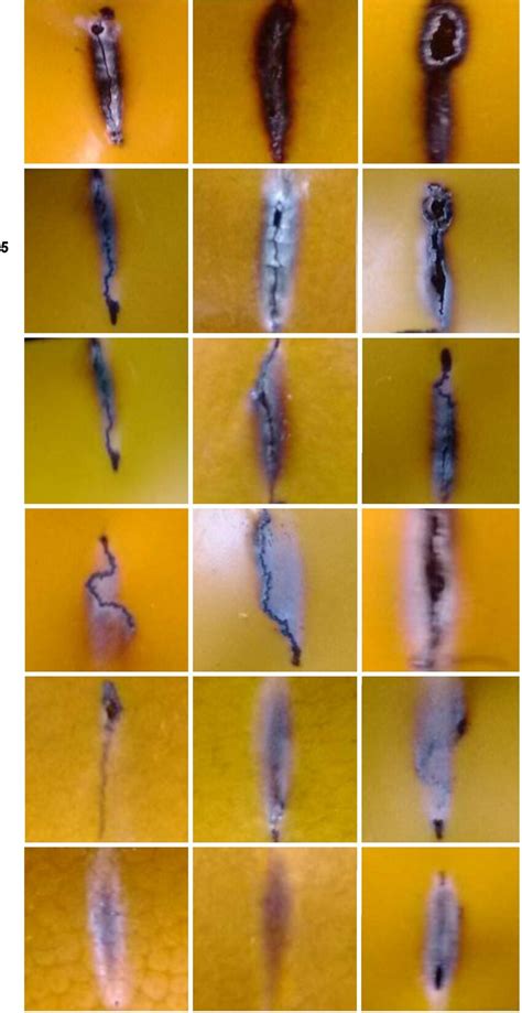 Typical Tracking Pattern After Tracking Failure With Different Download Scientific Diagram