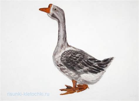 Как нарисовать гуся поэтапно