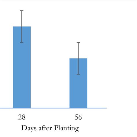Effect Of Days After Planting On The Percent Defoliation Of The Maize
