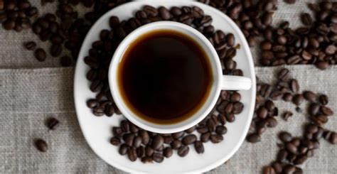 Robusta Coffee: Origins, Benefits, and How to Brew - FHA-HoReCa