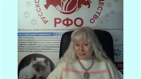 Проведение выставок кошек и мутные схемы в фелинологии Youtube