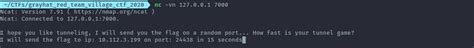 Grayhat Red Team Village Ctf 2020 Writeup Tunneler Ikuamike