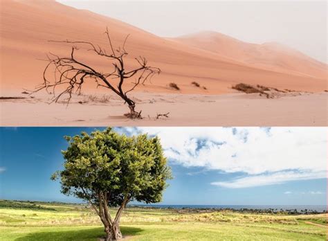 Creating New Environment With Conda Narendra Kumar