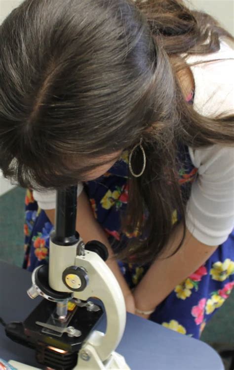 Protozoa And Bacteria STEM Lesson Plan For Middle Babe Biology HubPages