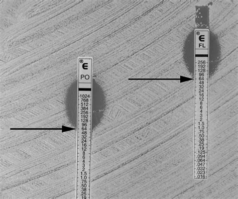 Etest Synergy Test Mics For Isolate 4 Were As Follows Original Download Scientific Diagram