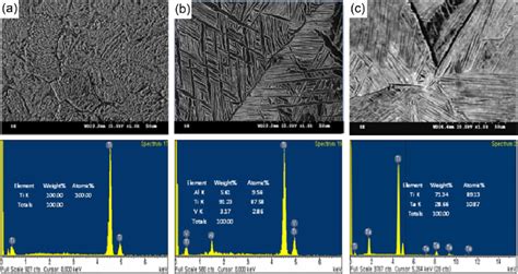 fe sem micrographs and eds results of heat treated ti alloys a