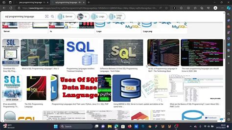 english vlog day 91 what is sql programming language youtube