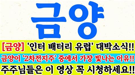 금양 인터 배터리 유럽 대박소식 금양이 2차전지주중에서 가장 반짝반짝 하는 이유 성공한 사람들이 성공하는 이유는 작은 차이 박부장 Youtube