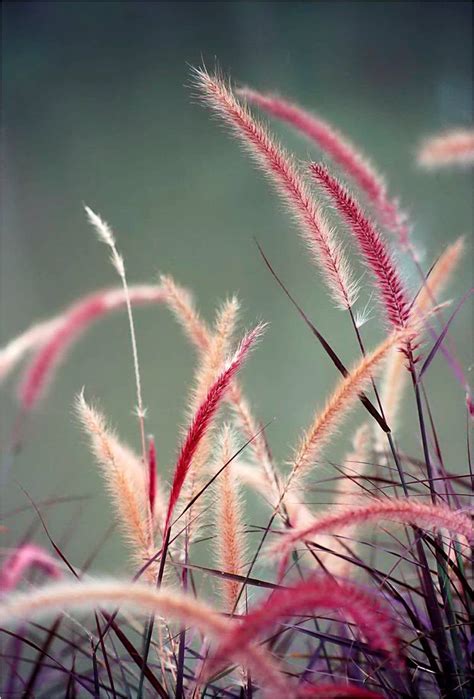 ThirtyOne: Ektar 100 Preview