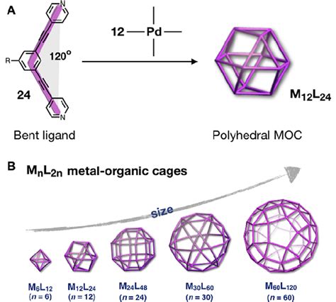 A Self Assembly Of A Pd 12 L 24 Metal Organic Cage Where The Ligand
