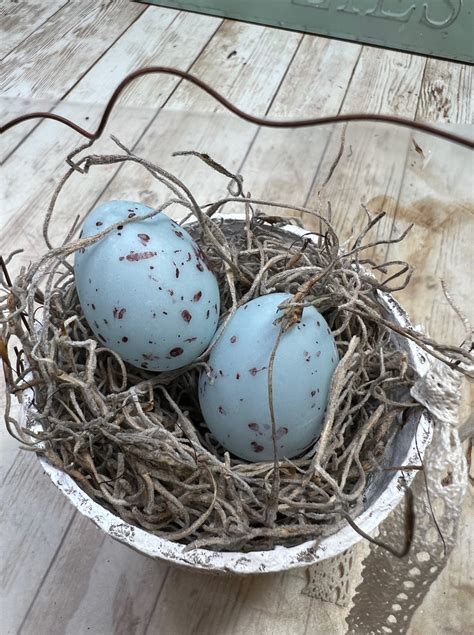 Diy Peat Pot Bird Nest