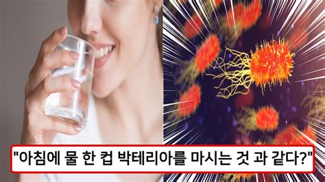 아침에 일어나자마자 물 한 잔의 기적을 경험하세요 박테리아 걱정 없이 건강을 지키는 3가지 핵심 습관 캐시뉴스