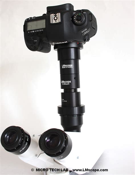 Lm Microscope Adapters Were Impressed By The Performance Of Canons Professional Grade Eos 5d