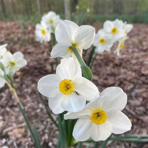 lily Méndez YouTube