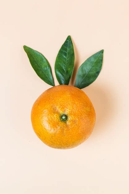 Page 3 Small Citrus Images Free Download On Freepik