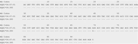 alignment of the sequence of exon 2 of hla‐dqb1 06 385 with the