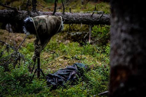 Pro Sound Effects Added A New Photo Pro Sound Effects