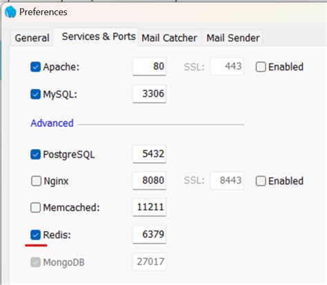 Redis On Laragon Dev Community