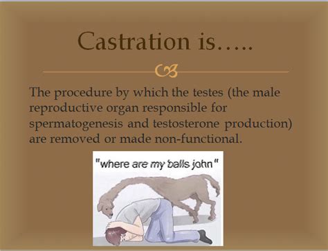 What Is The Meaning Of Castration Rack At Lawrence Blose Blog