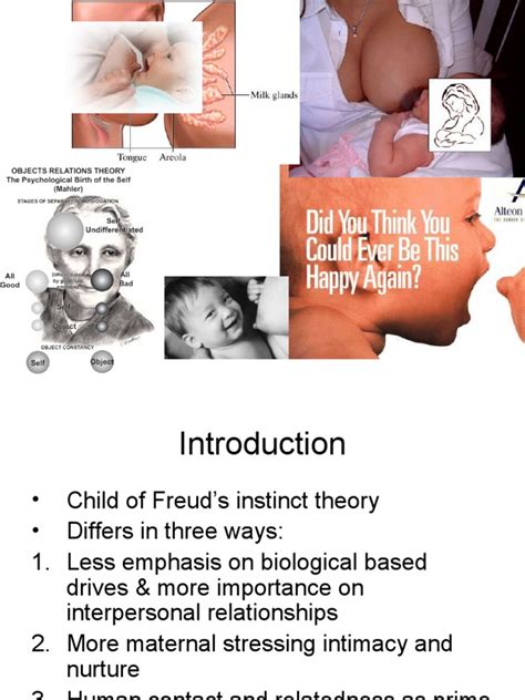Chap 5 Melanie Klein Pdf Attachment Theory Object Relations Theory