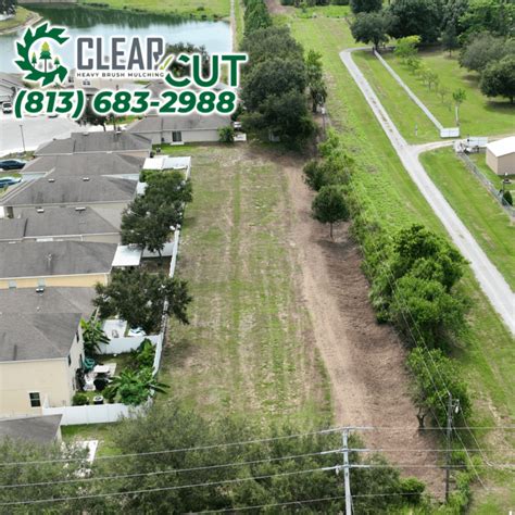 Hoa Conservation Overgrowth In Hillsborough County Call Today