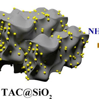 Schematic Diagram Of The Synthesis Process Of TAC SiO2 Al2O3 Download Scientific Diagram