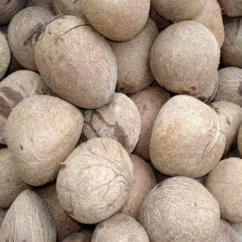 Ball Copra At Rs 125 Kilogram New Items In Krishnagiri Id 15946562855