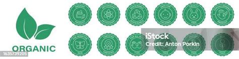 천연 유기농 안전 제품 스탬프 세트 민감성 피부용 스티커 컬렉션 지속 가능한 친환경 그린 라벨 알레르겐 씰 없음 크루얼티 프리 화장품 격리된 벡터 그림 0명에 대한 스톡