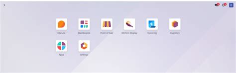 Do Odoo Setup Configuration Clean Up Customization Profit Loss