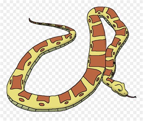 Download High Quality Snake Clipart Python Transparent PNG Images Art Prim Clip Arts