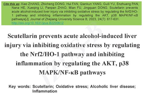 灯盏花乙素通过调节nrf2 Ho 1通路抑制氧化应激以及akt、p38 Mapk Nf κb通路抑制炎症反应预防急性酒精性肝损伤 因子 相关 文章