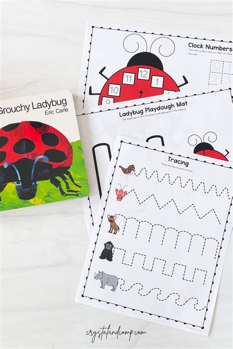 the grouchy ladybug characters