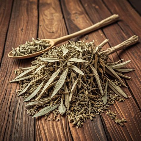 Coptis Chinensis Uses Benefits And Remedies