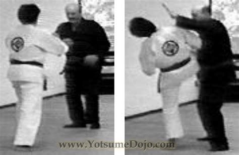Jigen Ryu Yotsume Dojo