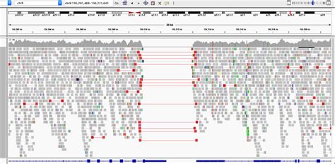 feature request red lines for unexpected insert size in web igv