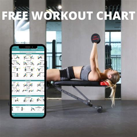 Weight Bench Workout Routines