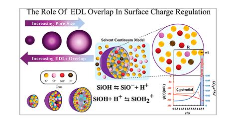 Surface Charge Regulation On The Concave Wall Of A Spherical Silica