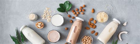 What Are Plant Based Drinks And Their Benefits Mulsecrets