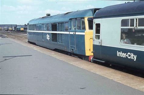 Original Slide Br Brush Class 31 X2 Diesel Locos 31119 31411