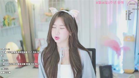 Model Dearhalk Kbjfree