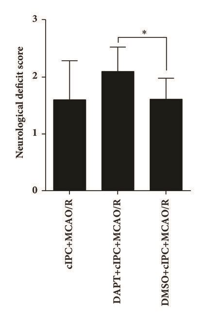 The Cipc Induced Improvements In The Neurological Functional Deficit