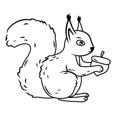 Squirrel Outline