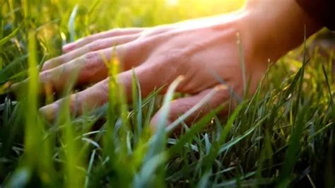 Embracing Nature And Finding Balance The Meaning Behind Touch Grass” Progress With English