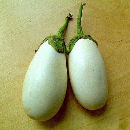 Japanese White Eggplant Solanum Melongena Smart Seeds Emporium