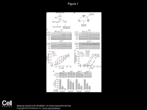 Volume 55 Issue 1 Pages July 2014 Ppt Download