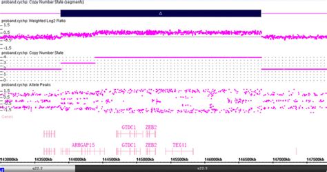 Affymetrix Cytoscan Hd Array Analysis Including Weighted Log2 Ratio