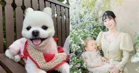 비혼모 사유리 안타까운 소식…子 따라다니던 반려견 하늘로 보냈다