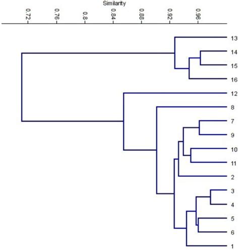 Dendrogram For The Sixteen Alfalfa Cultivars Constructed From Issrs