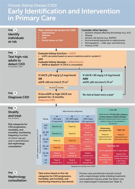 The Heart Ckd Early Identification And Intervention