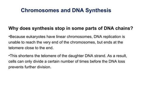 Dna And Rna Replication Overview Pptx